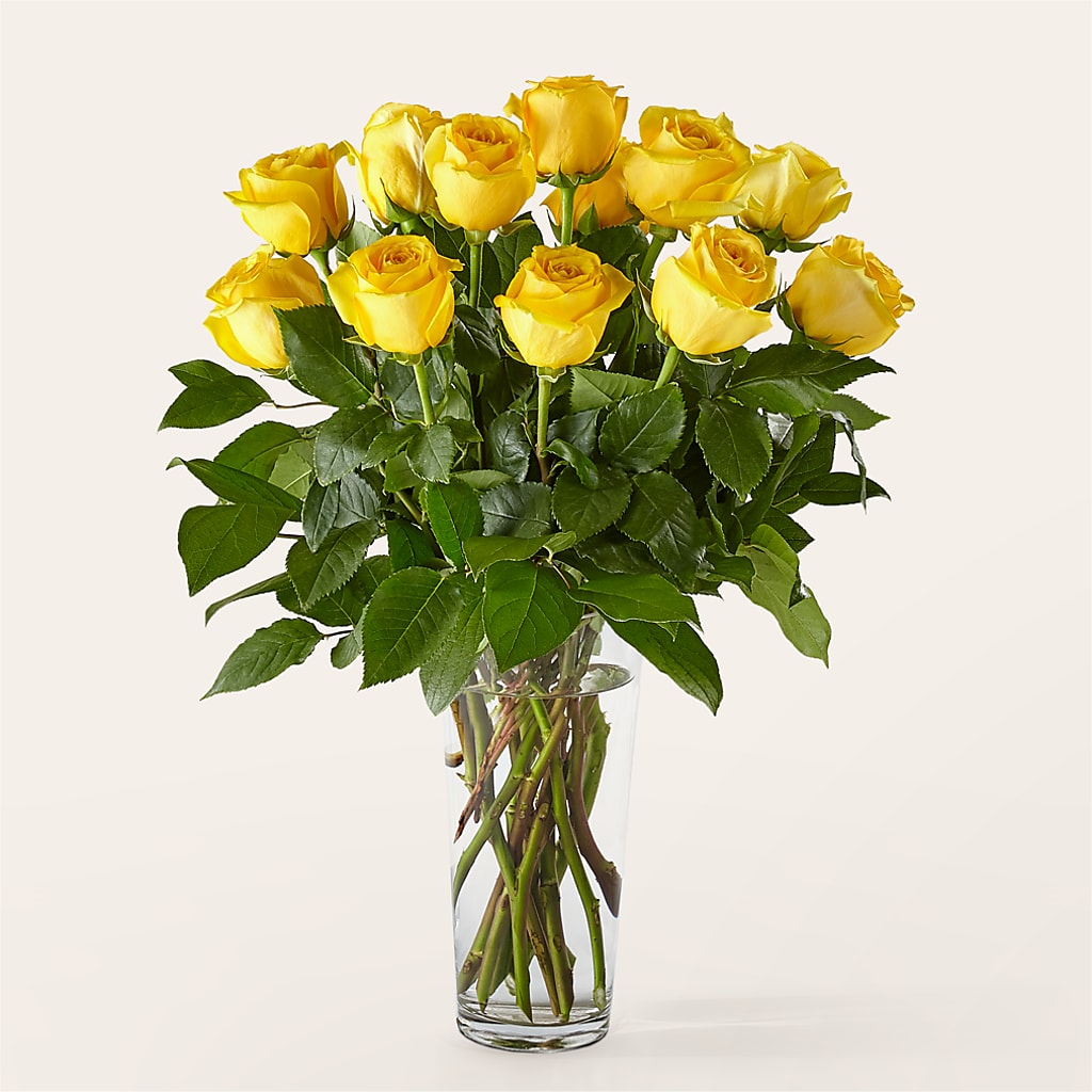 Long Stem Yellow Rose Bouquet–Talia Flowers