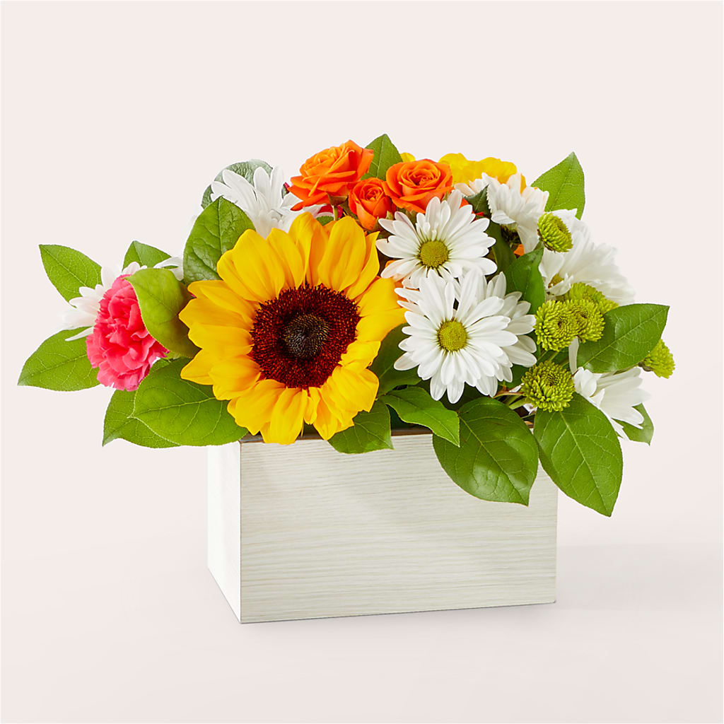 Sun-drenched Blooms Box Bouquet–Talia Flowers